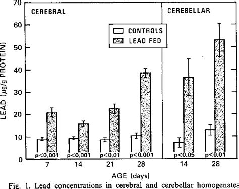 Figure 2 From The Pathogenesis Of Lead Encephalopathy In The Rat Pup Effects Of Maternal Pbco3