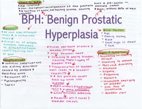 Nur 180 Bhp Bph Notes Nur 180 Studocu