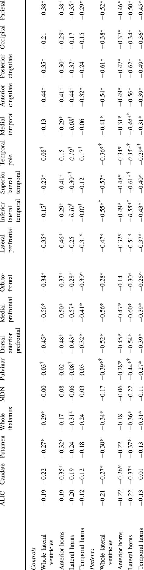 Relative Volume Correlations Between Ventricles And Gray Matter