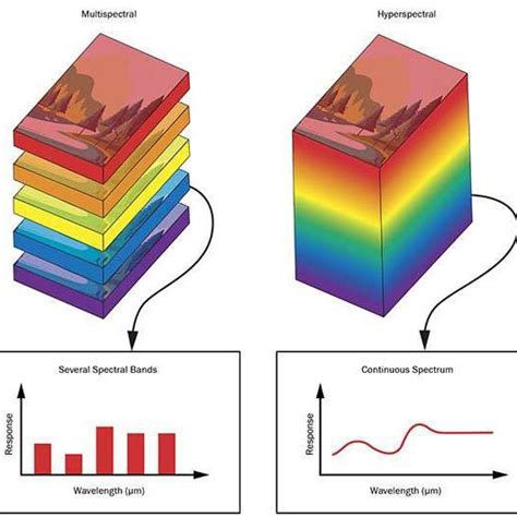 Hyperspectral Imaging Of Plants Download Scientific Diagram