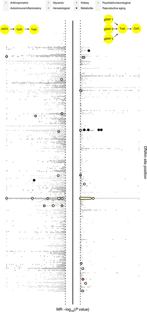 Identifying Putative Causal Relationships Between Sites And Traits