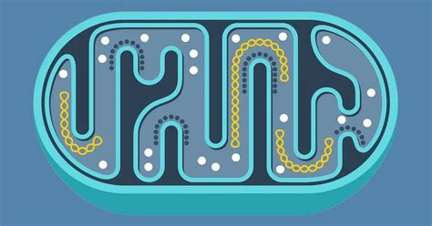 Jacob Lackovic Phd Posted On Linkedin