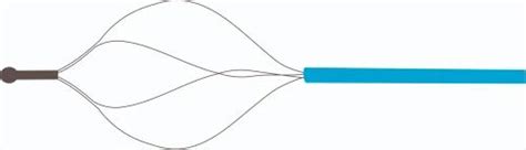 Stainless Steel Ercp Pancreatic Basket At Rs 1800piece In Chennai Id 2853744621991