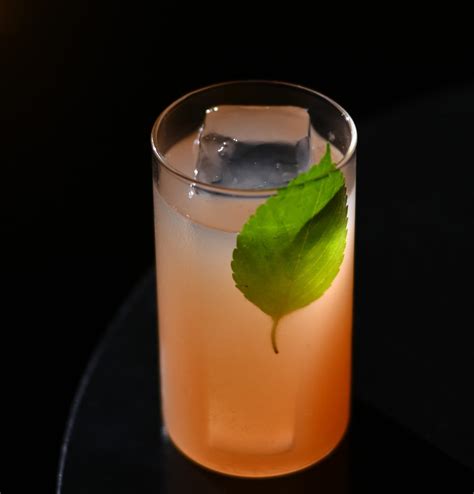 11 Gin Cocktails For World Gin Day The Glitz Media