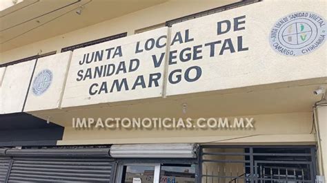 Elección De Mesa Directiva En Sanidad Vegetal Se Enfrentará A Una Sola