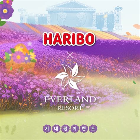 하리보 Haribo Korea Event 💛d 1💛 드디어 내일부터 시작되는 에버랜드 하리보 팝업스토어 ♡⸜˶˃ ᵕ ˂˶⸝♡ 귀여운 하리보 골드베어와 사진도 찍고🐻