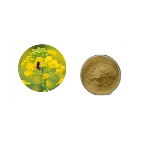 Lemon Grass Cymbopogon Citratus Melissa Extract Buy Lemon Grass Cymbopogon Citratus Product On