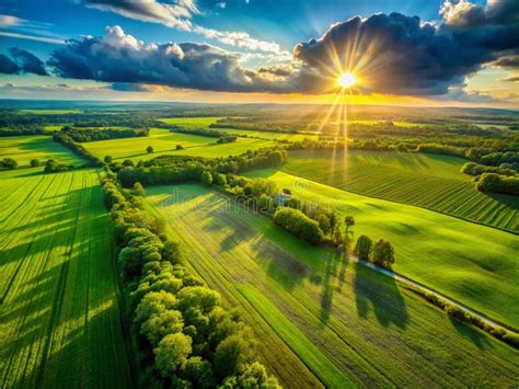 Expansive Green Field Stretching To The Horizon A Symbol Of Growth