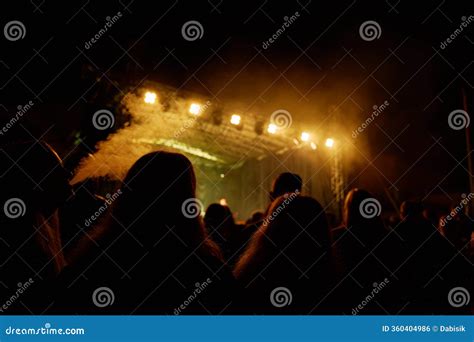 Crowd Enjoying Live Concert At Night People Stand In Front Of Concert