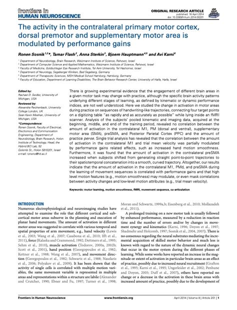 Activity In The Contralateral Motor Cortex 37 The Institute Of