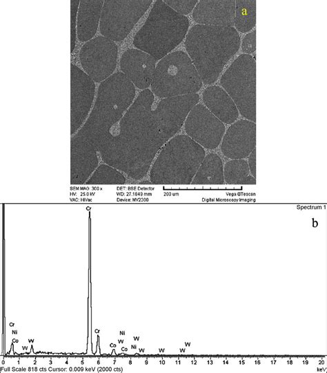 Solutionized Alloy Microstructure Download Scientific Diagram