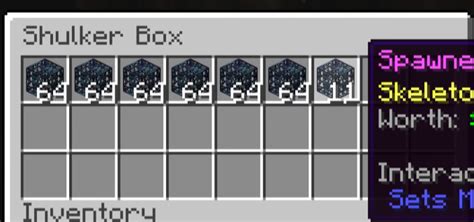 Donut Smp 300 Skeleton Spawners In Donut Smp Minecraft 100 Per