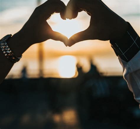 What Is The Barassi Line This