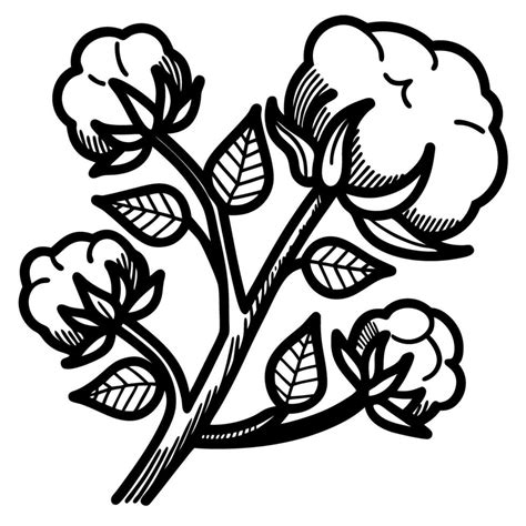 Cotton Plant Clipart Black And White