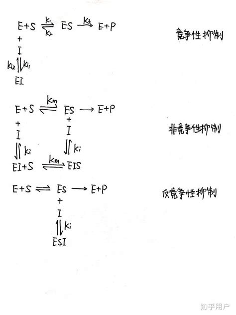 酶的可逆抑制剂影响km和vm的原理是什么？ 知乎