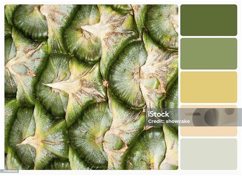 Pineapple Color Swatch