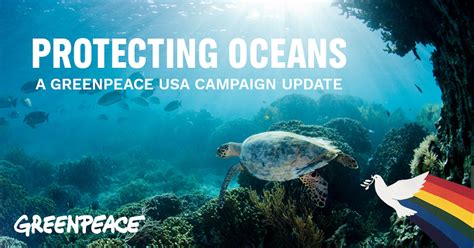 Protecting Oceans A Greenpeace Usa Campaign Update · Greenpeace Usa
