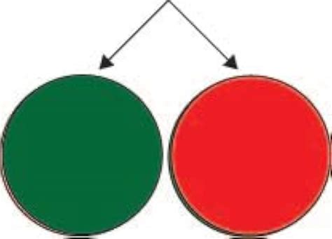 Red Circle With Green Logo