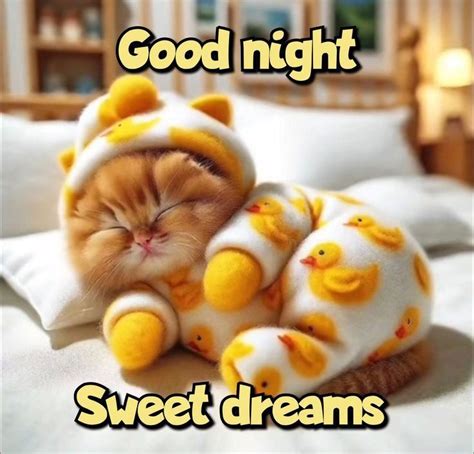 Pin By Lhoppe On Cartoons Good Night Funny Cute Good Night Good
