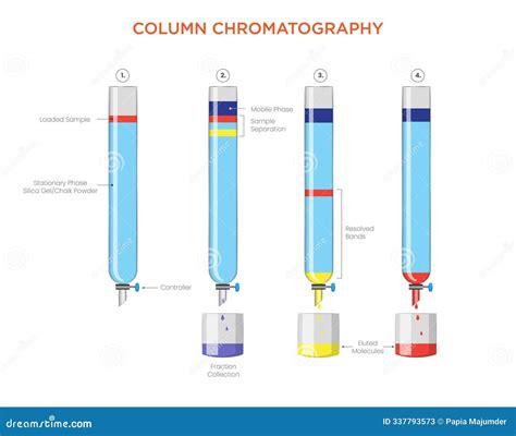 Efficient Separation Technique Column Chromatography Cartoon Vector