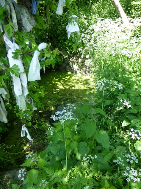 166 Randi Samuelson Brown