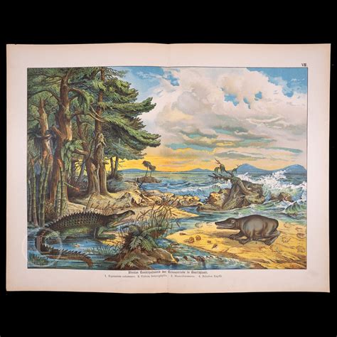 Ideal Landscape Of The Triassic Period In Germany Antique Original Print Paleontology And