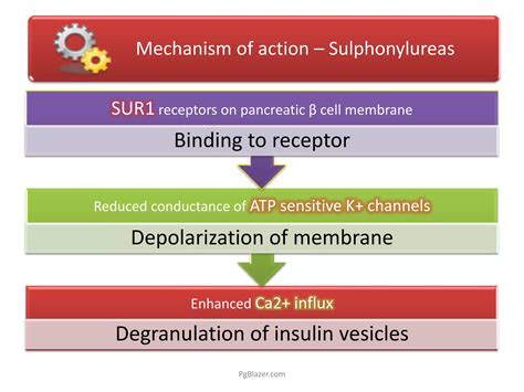 Oral Hypoglycemic Drugs Sulphonylureas Pptx