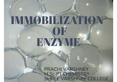 Immobilization Of Enzyme Pdf