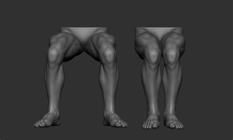 Male Leg Reference