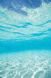 Ocean  Ice