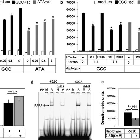 Dna Pull Down Assay Page And Ms Analyses A Dna Pull Down Assay Was