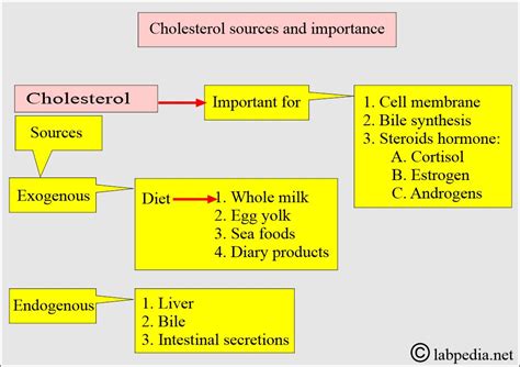 Cholesterol Hormone Chart