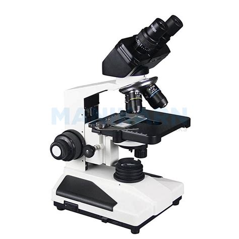 Pathological Binocular Microscope