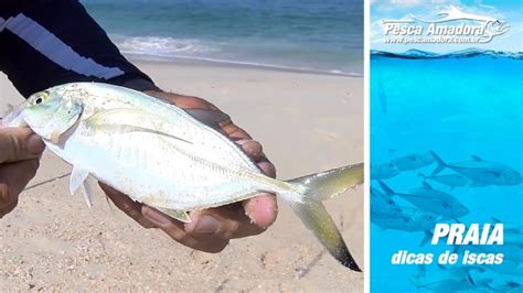 Dicas De Iscas Para Pesca De Praia Em Niteroi Rj Portal Pesca