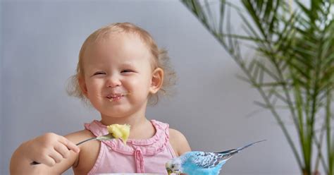 Liza Murphy United States About Me