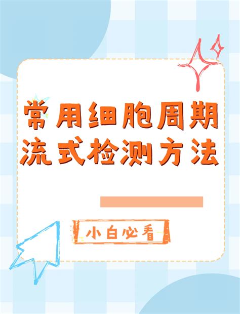 细胞周期检测方法