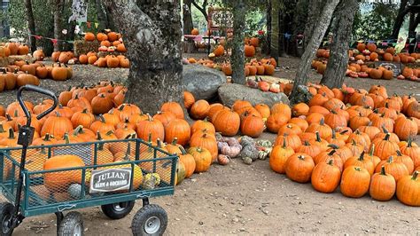 Julian Farm And Orchard 2025 All You Need To Know Before You Go