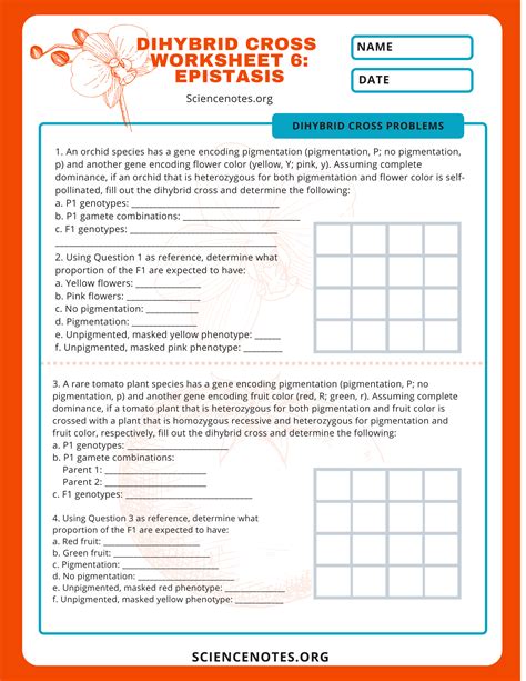 Dihybrid Cross Worksheet