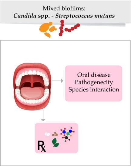 Streptococcus Mutans