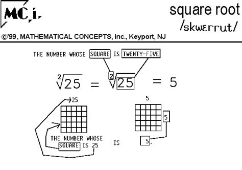 Function And Relation Library Squaring And Square Root Functions