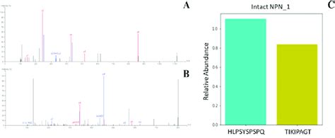 Ms Ms Ionization Spectra Of The Peptides Found In The Functional Download Scientific Diagram