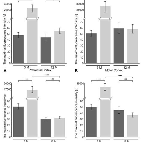 Maximal Fluorescence Intensity After Injection Of 40kd Fitc Dextran In
