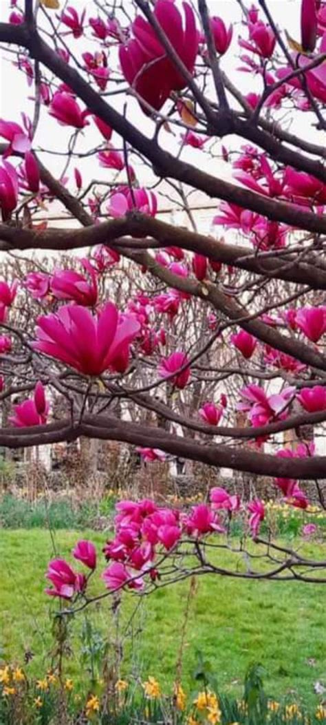 Sunil Pradhan Posted On Linkedin