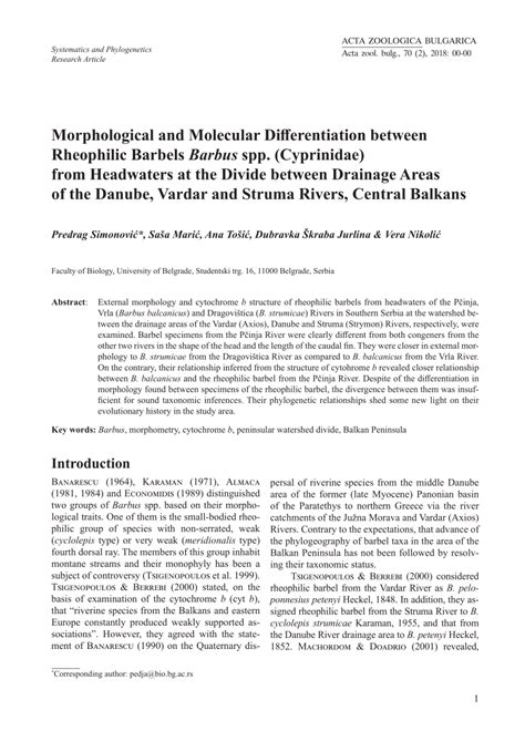 Pdf Morphological And Molecular Differentiation Between Rheophilic Barbels Barbus Spp
