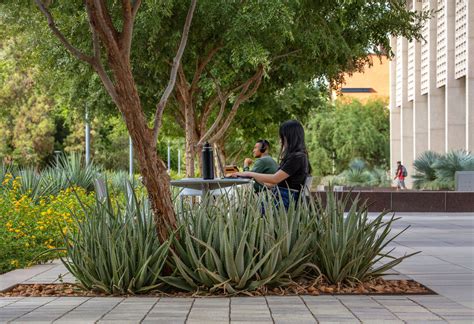 Meet Todd Briggs Canvasrebel Magazine