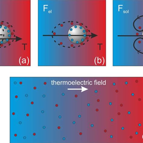 Thermal Diffusion Coefficient D T As Function Of Debye Length λ Dh For