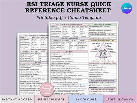 Esi Triage Quick Reference Guide Er Nurse Emt Paramedic Cheat Sheet