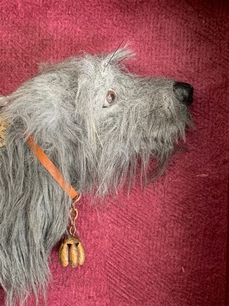 Art Assemblage Animal Etsy