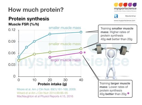 Maximizing Protein Intake For Athletes