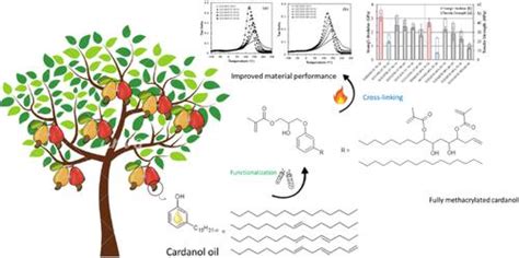作为交联单元的腰果酚基乙烯基酯树脂的制备和表征 Journal Of Applied Polymer Science X Mol